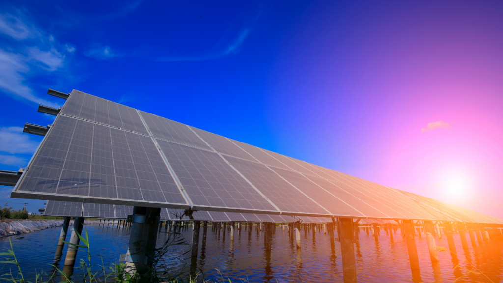 Nautilus Solar Surges In 2024, Leading The Community Solar Market ...