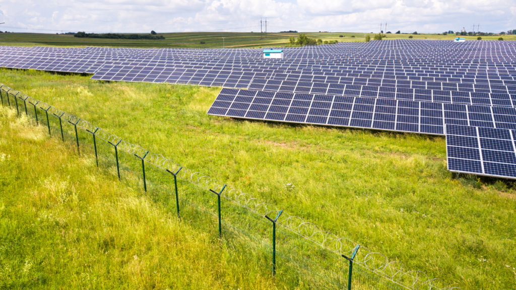 Indian Steel Maker MSP Steel and Power Limited Signs 25-Year Solar ...