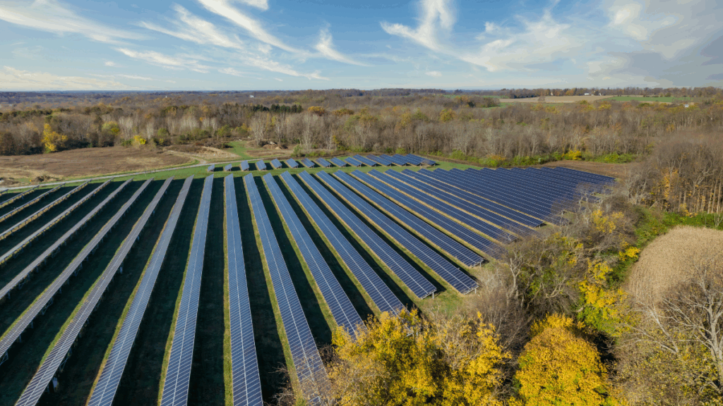European Energy Completes Sale Of Trinity Hall Solar Farm To Alpha Real ...